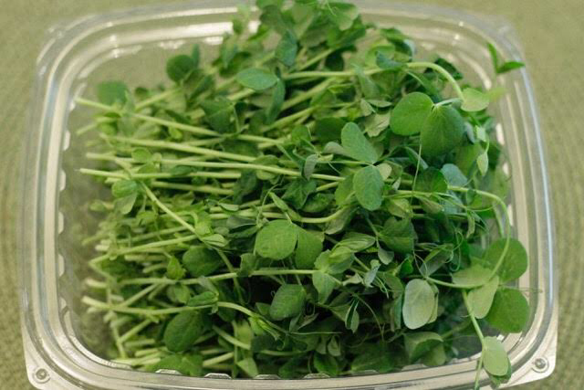Micro greens Salad Mix—Combo 2 - Grassfed on the Hill