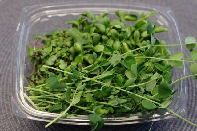 Micro greens-Pea tendrils - Grassfed on the Hill