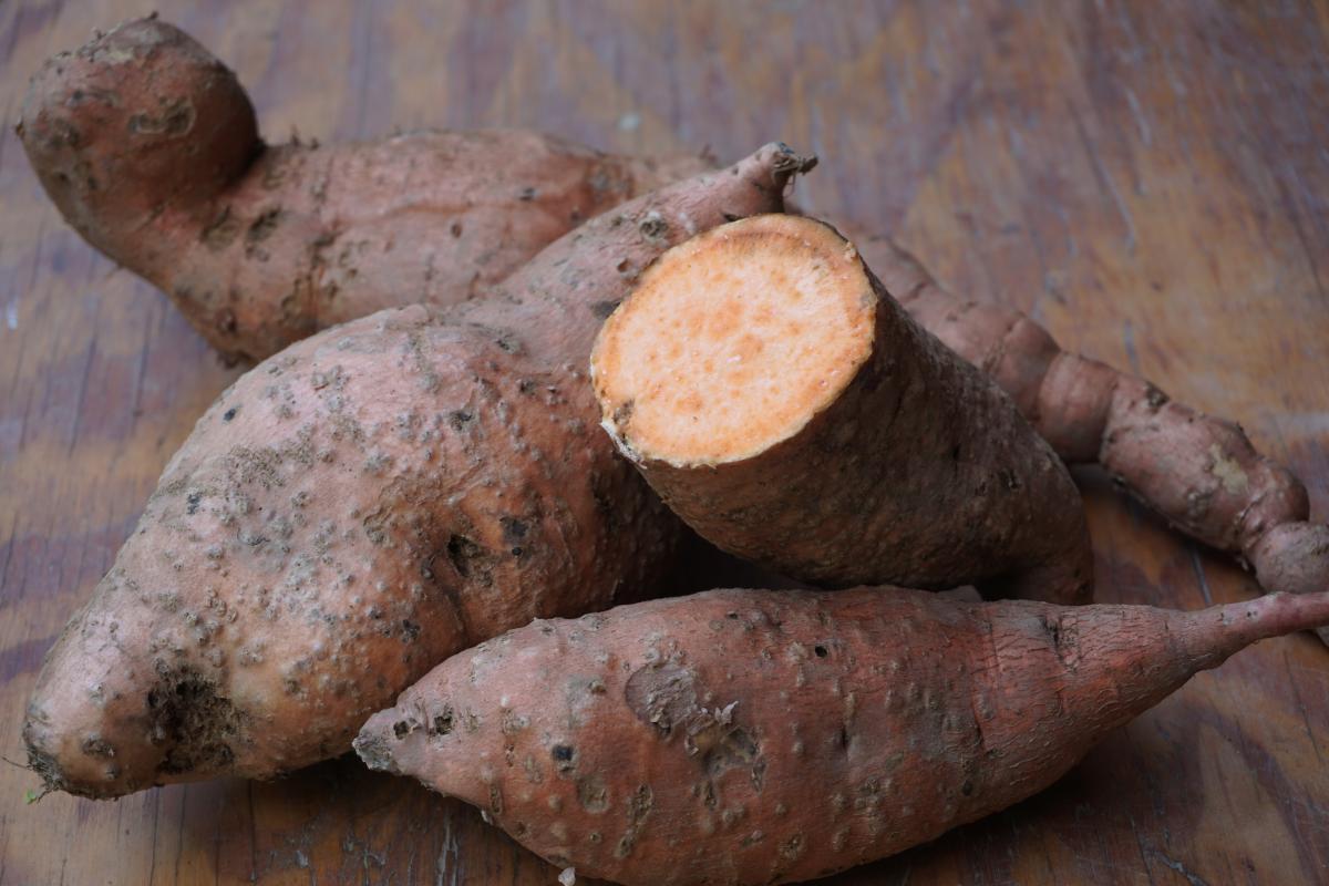 sweet potatoes - blemished - NEXT STEP PRODUCE