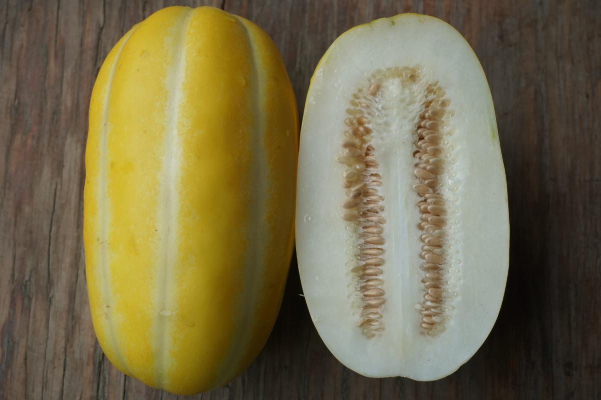 melon - sun jewel - NEXT STEP PRODUCE