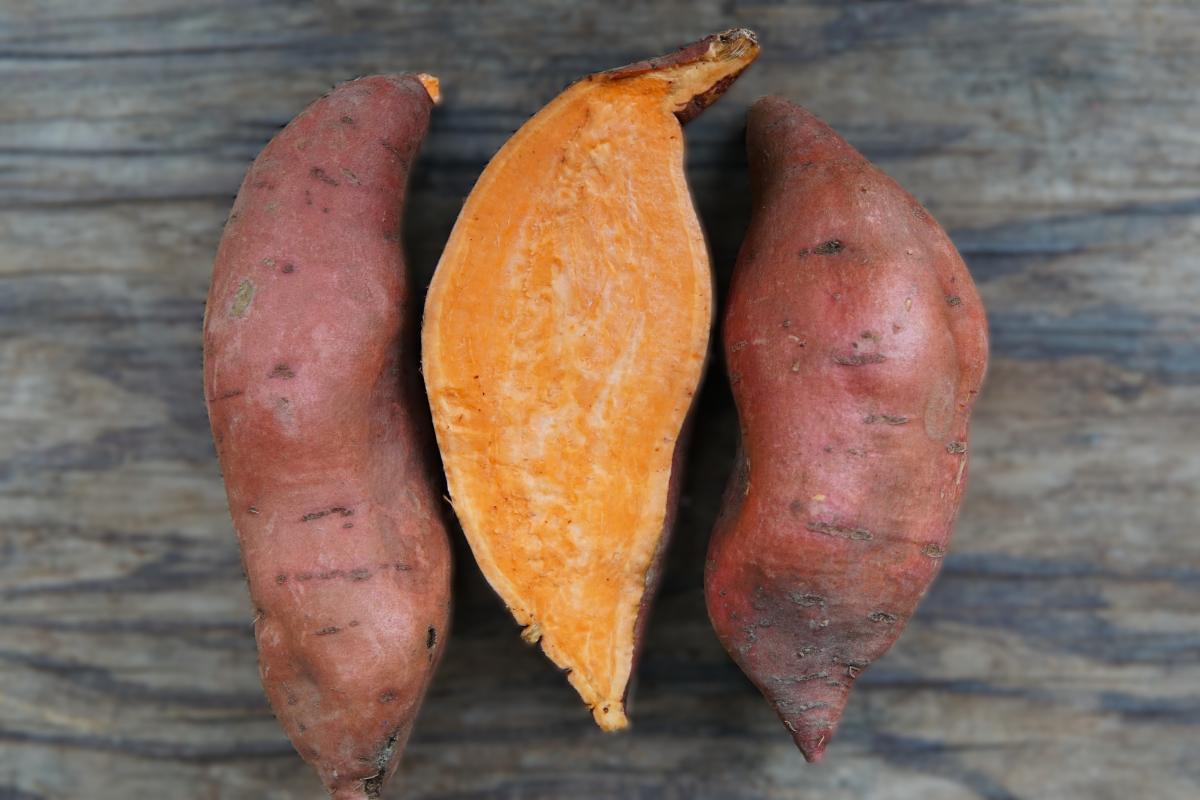 sweet potato - covington - NEXT STEP PRODUCE