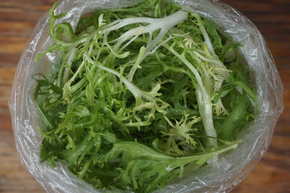 frisee - tres fine - NEXT STEP PRODUCE