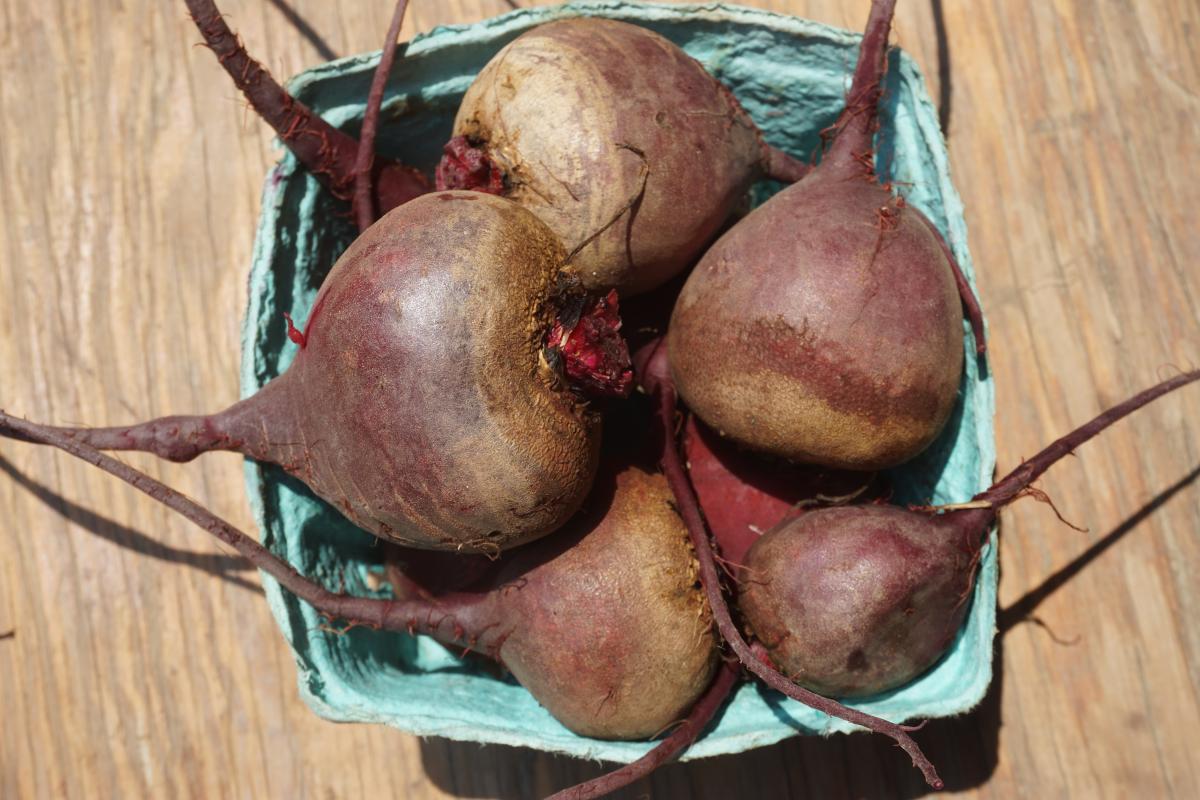 beets - deep red - NEXT STEP PRODUCE