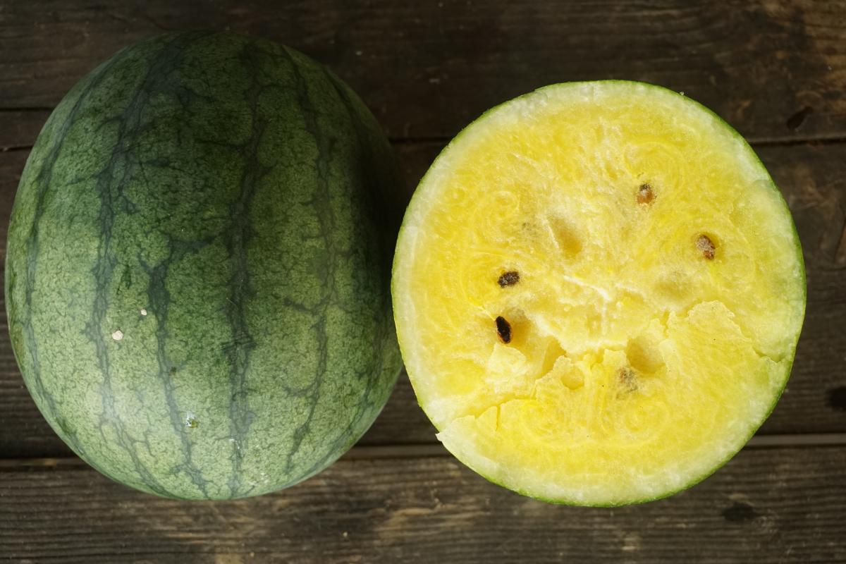 watermelon - seeded orange - NEXT STEP PRODUCE