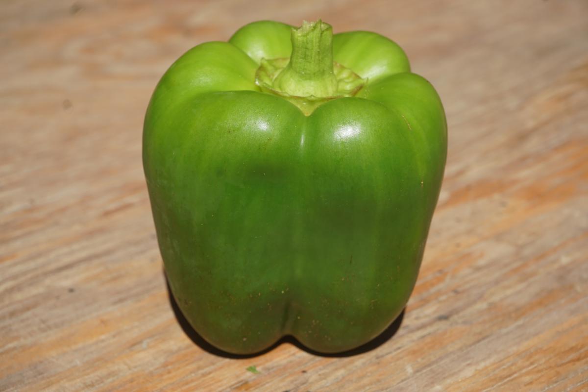 peppers - green bell - NEXT STEP PRODUCE